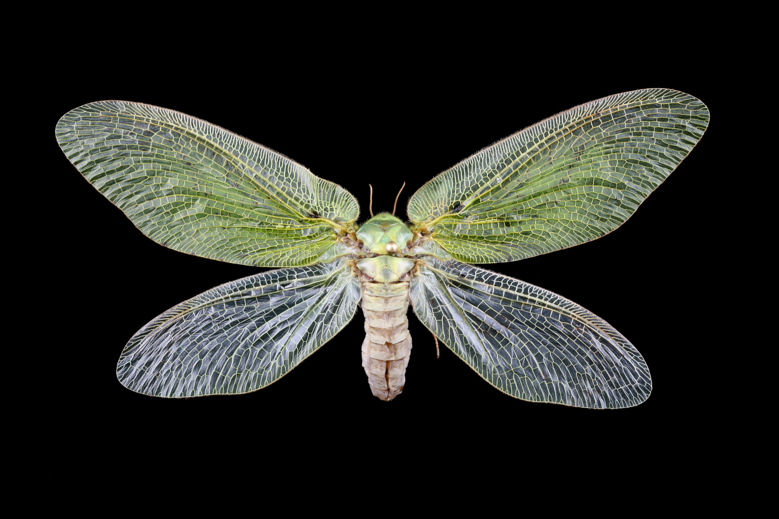 數位典藏平台 by 國立自然科學博物館