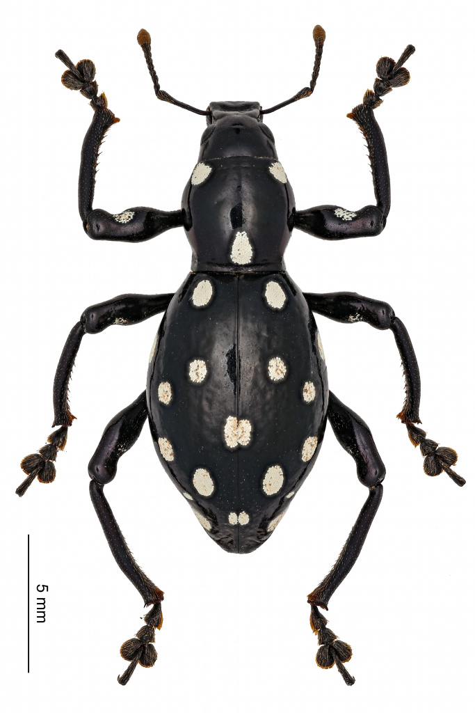 數位典藏平台 by 國立自然科學博物館