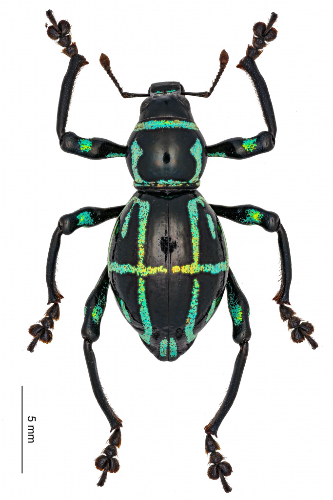 數位典藏平台 by 國立自然科學博物館