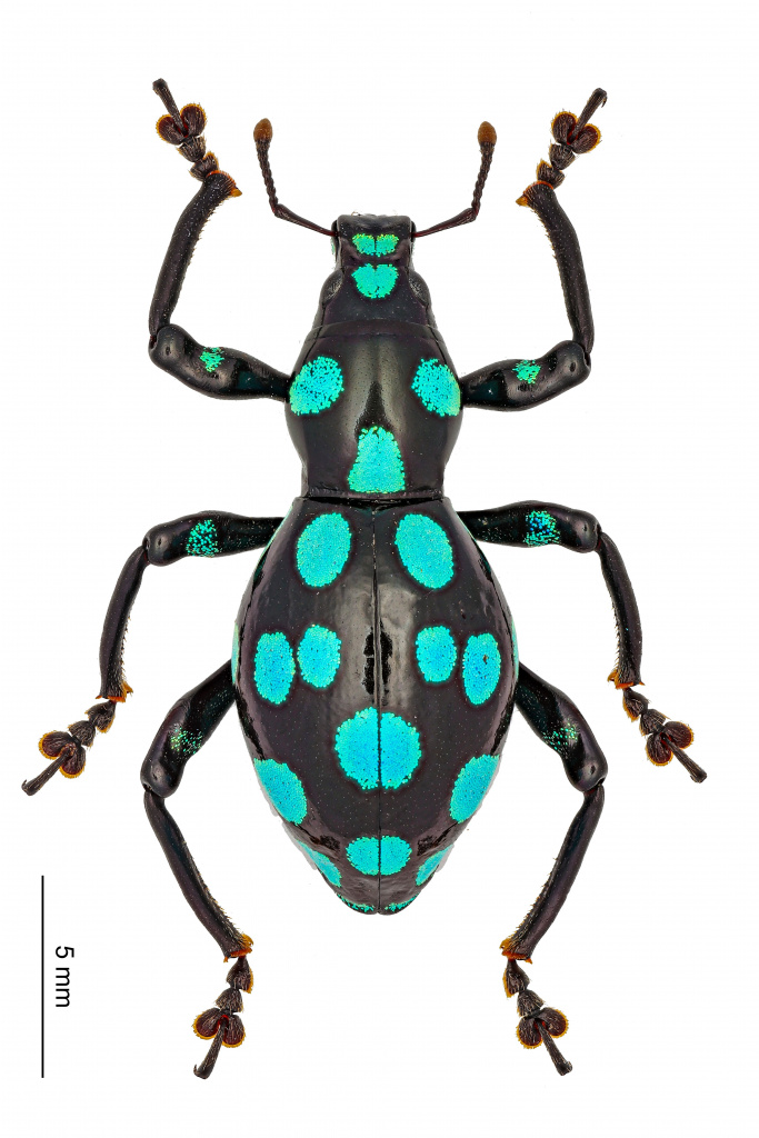 數位典藏平台 by 國立自然科學博物館