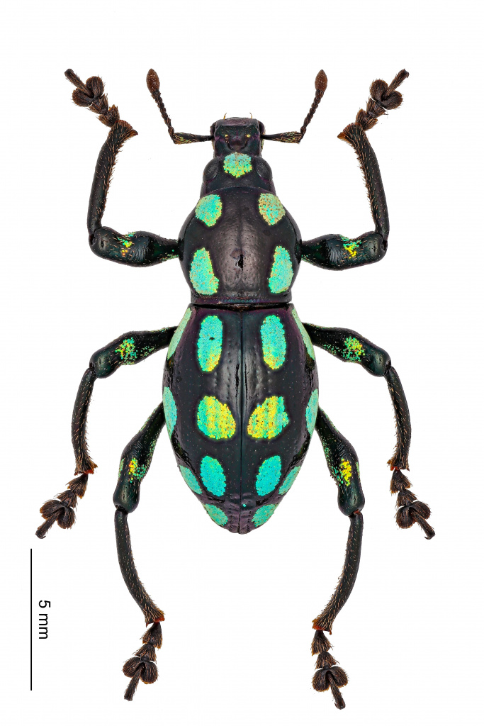 數位典藏平台 by 國立自然科學博物館