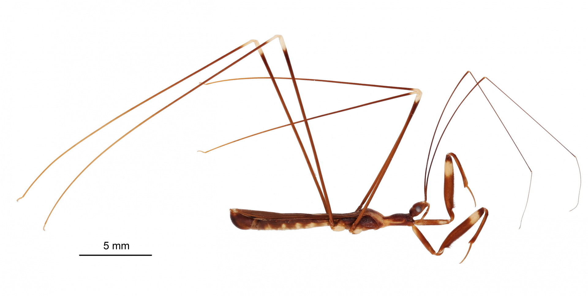 數位典藏平台 by 國立自然科學博物館