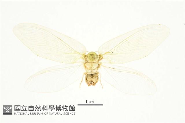 數位典藏平台 by 國立自然科學博物館