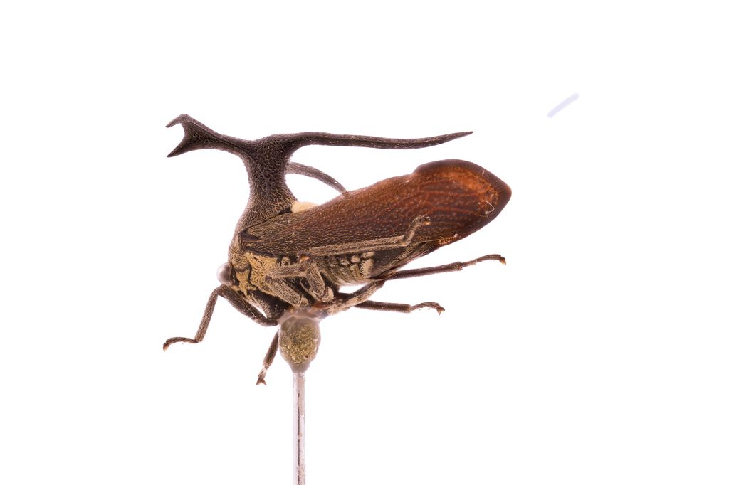 數位典藏平台 by 國立自然科學博物館